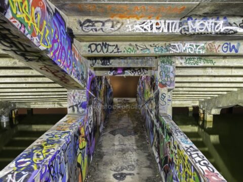 Matt Stock | Miami Marine Stadium